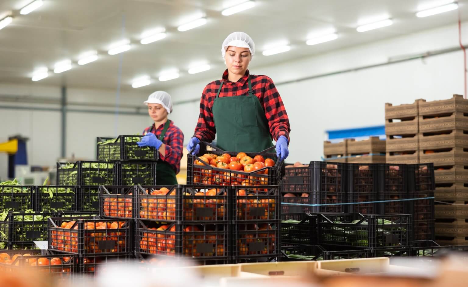 About Vitality Works | Vitality Works NZ